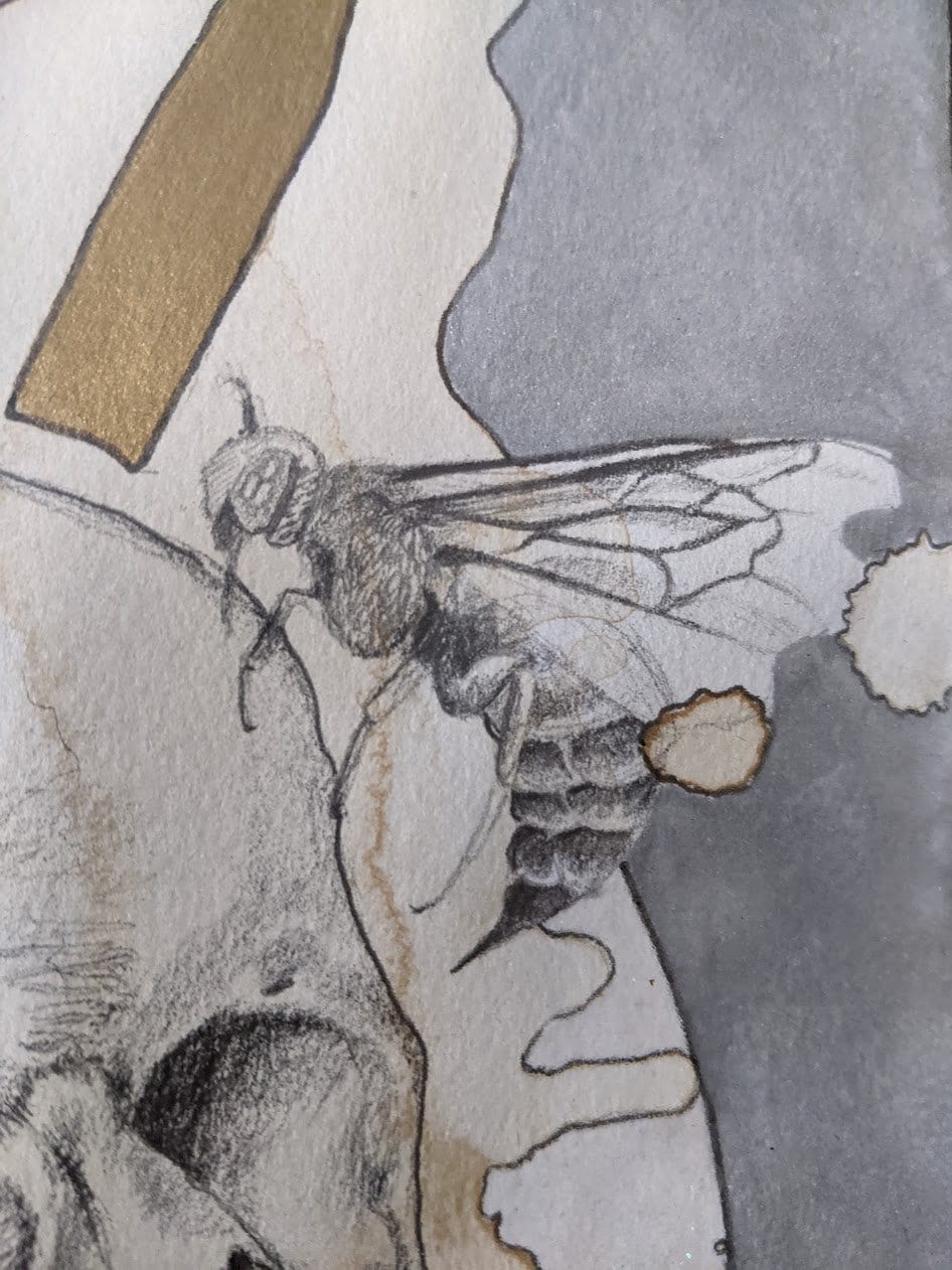 Skull, Wasp and Rose *original Framed Art* - Etsy