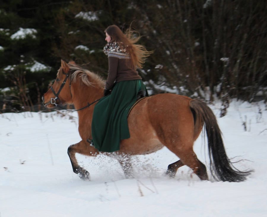 Equine Riding Skirt Wool - Etsy UK
