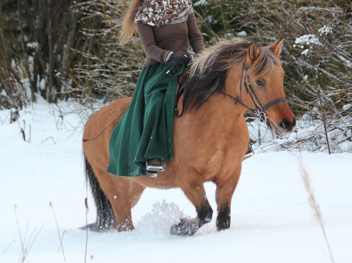 Equine Riding Skirt, Wool - Etsy