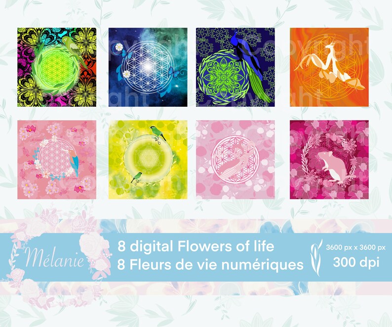 8 Flowers of Life to Download. Digital Flower of Life. Sacred Geometry ...