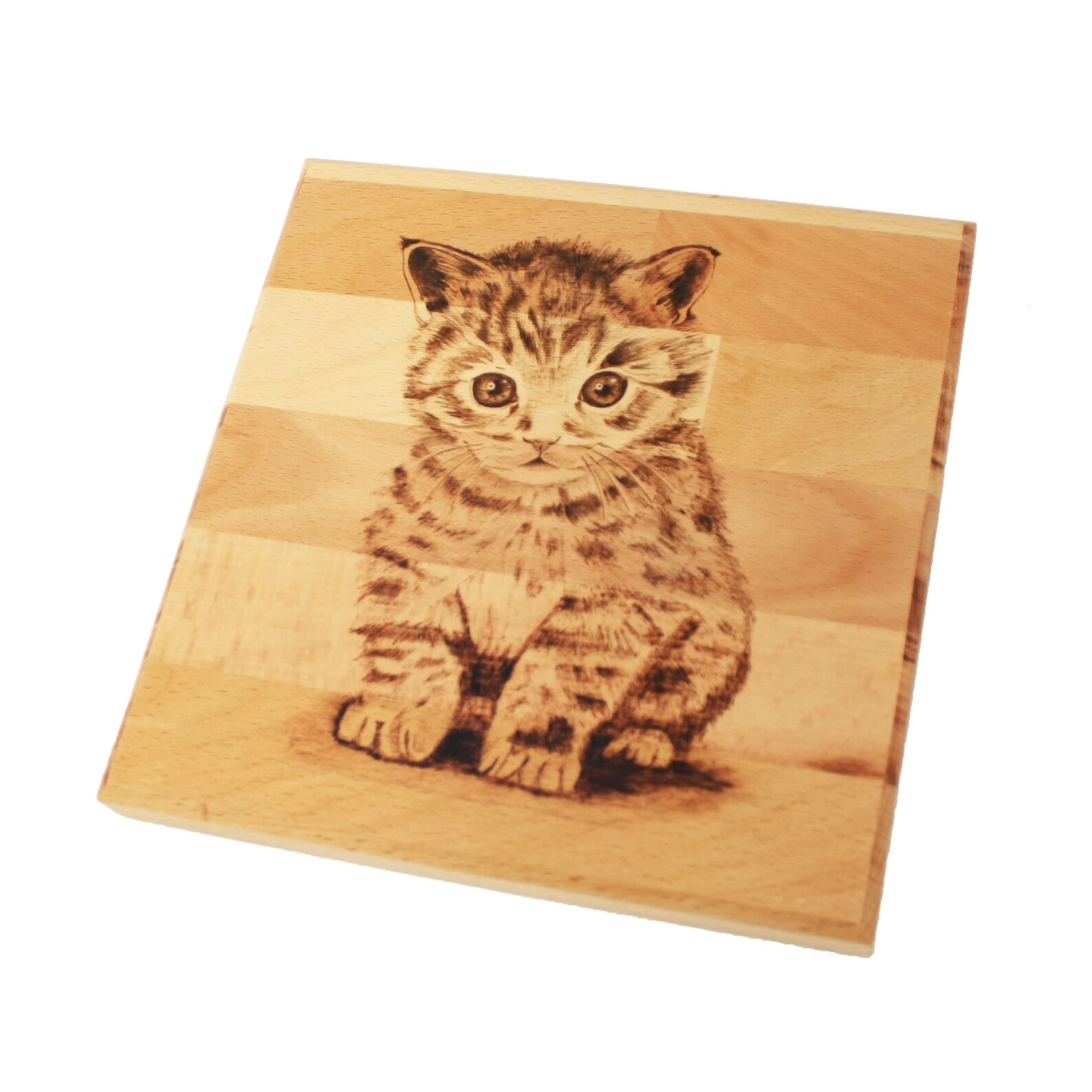 Cat Pyrography Animal Painting Cat Lover Gift Woodburning - Etsy