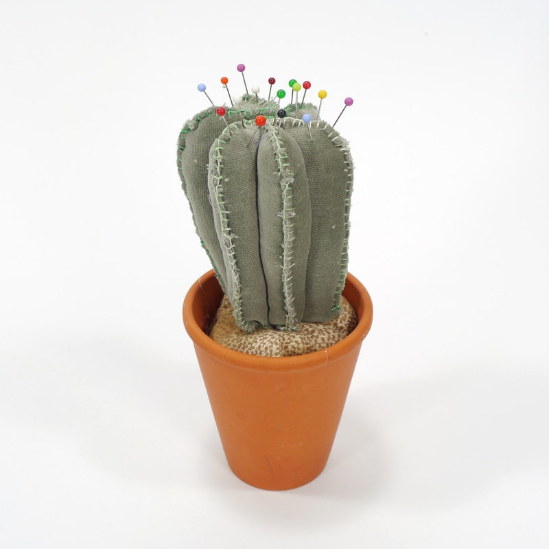 Cactus Pincushion - Etsy