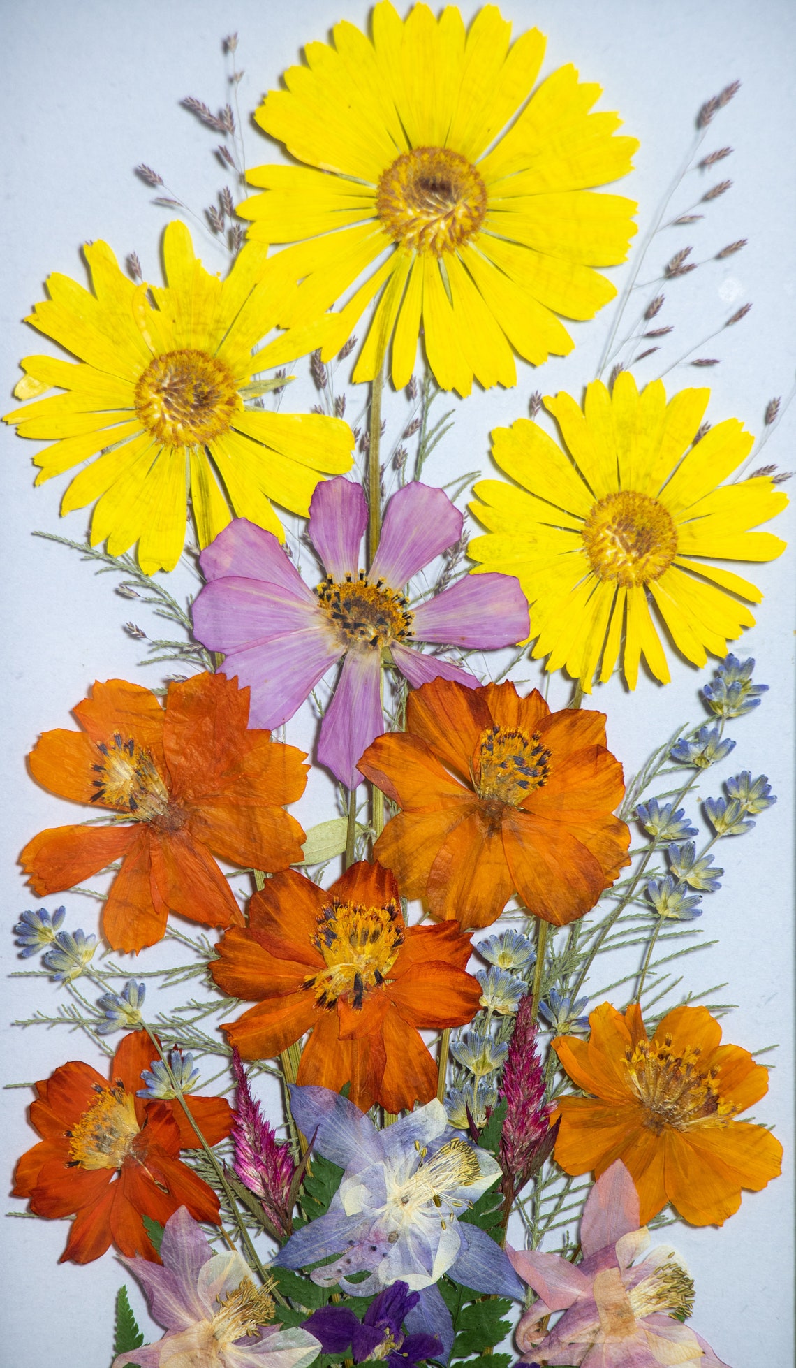 Pressed Flower Frame Pressed Flower Art Flower Frame - Etsy