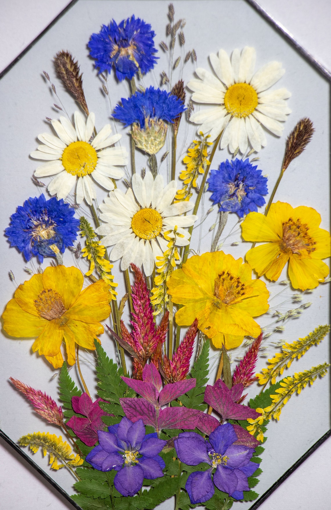 Pressed Flower Frame Pressed Flower Art Flower Frame - Etsy