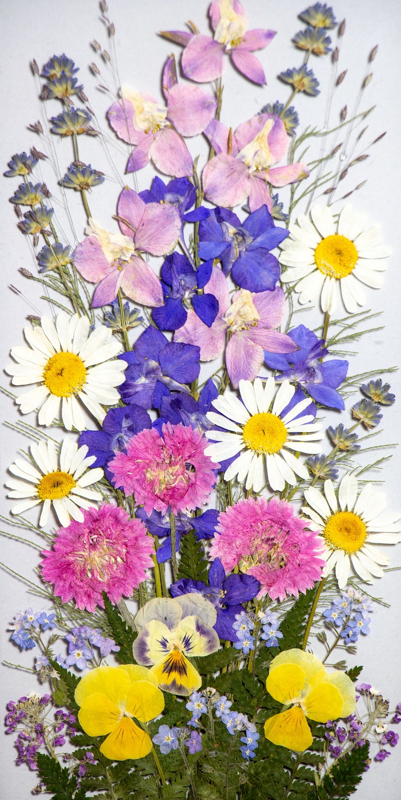 Pressed Flower Frame Pressed Flower Art Flower Frame - Etsy