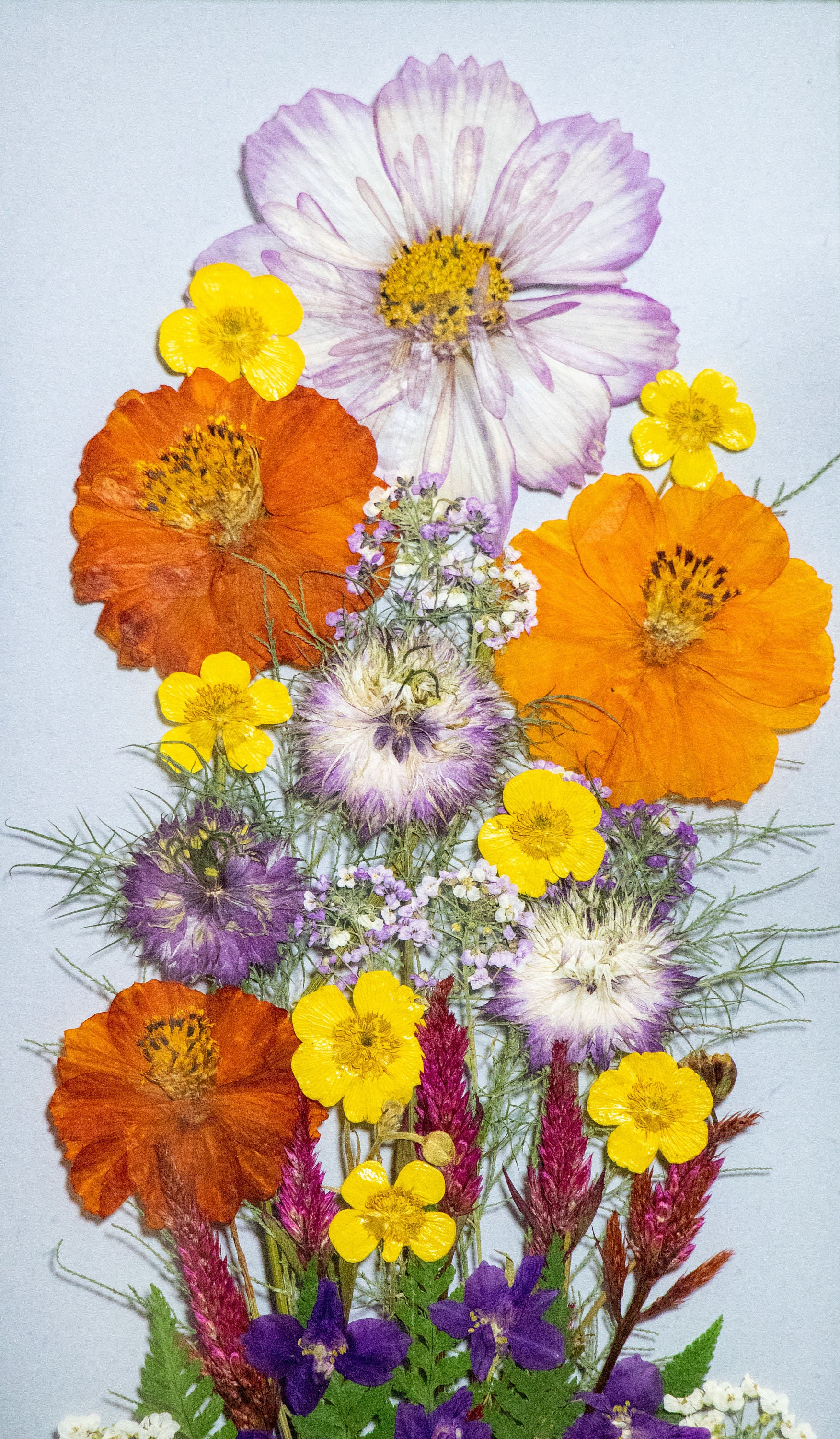 Pressed Flower Frame Framed Pressed Flowers Decor. Handmade - Etsy