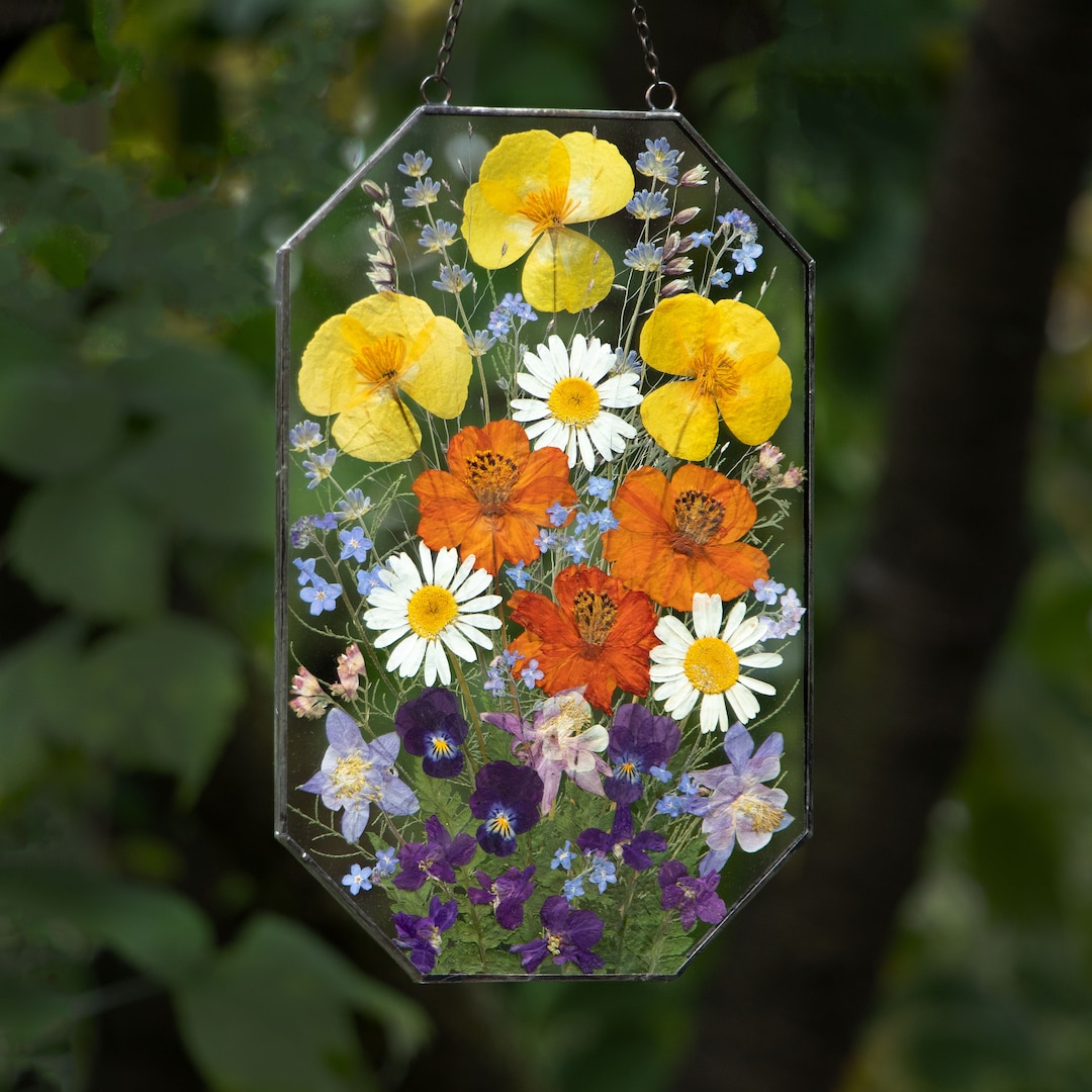 Pressed Flower Frame Real Pressed Dry Flower Herbarium Frame - Etsy