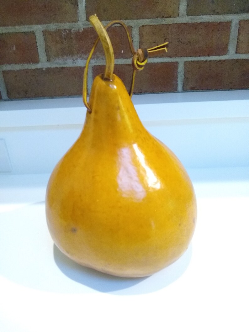 Large Vintage Pear Shaped Gourd Birdhouse Painted and Sealed | Etsy