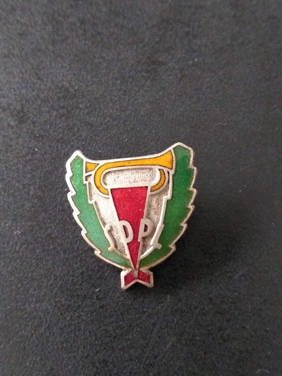 vintage pin badge political - Gem