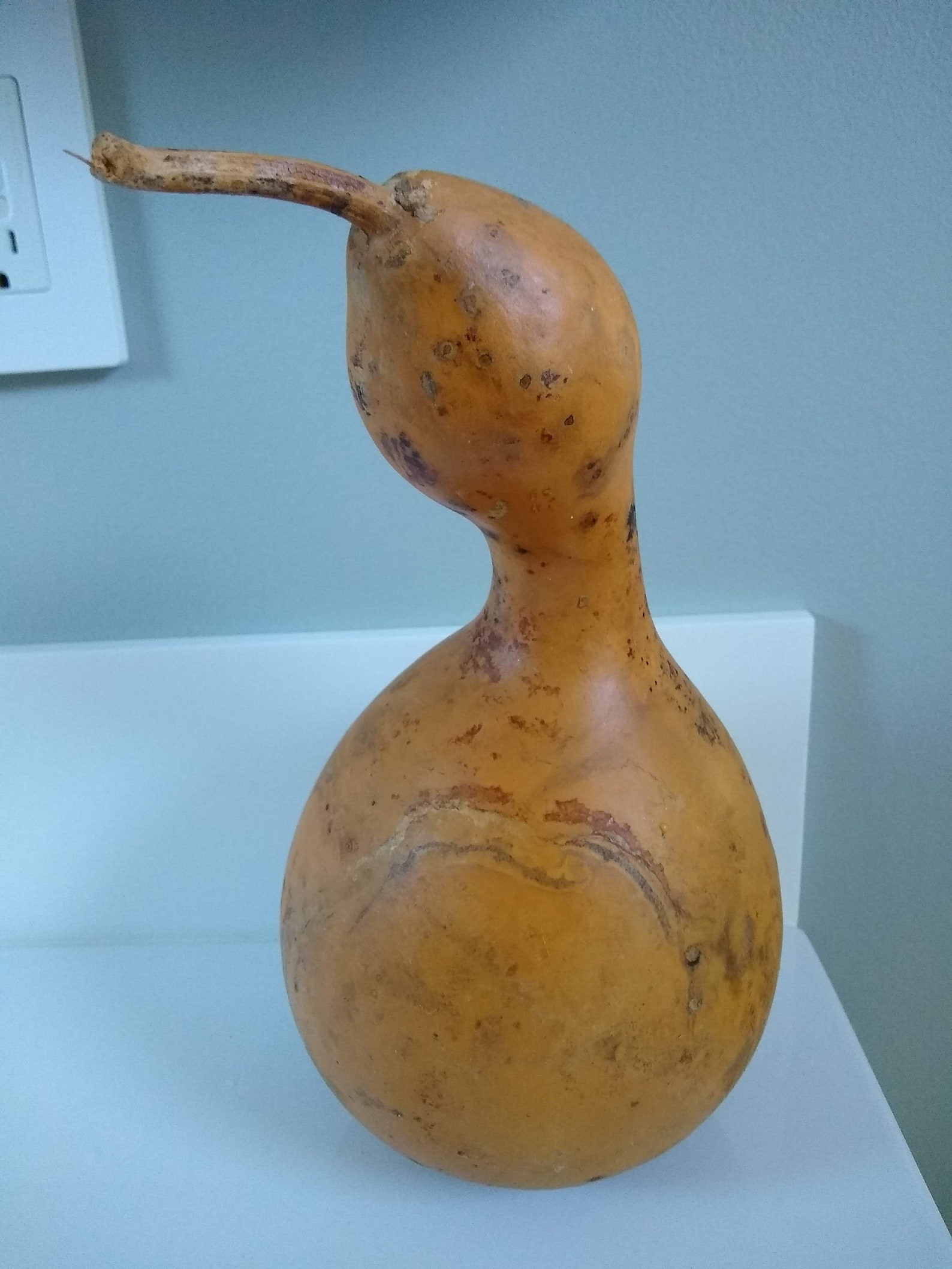 Dried Gourd Birdhouse Bottleneck Gourd With Copper Wire | Etsy