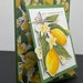 Lemon Fun Fold Card With the Greeting just Checking In. Blank Mini Card ...