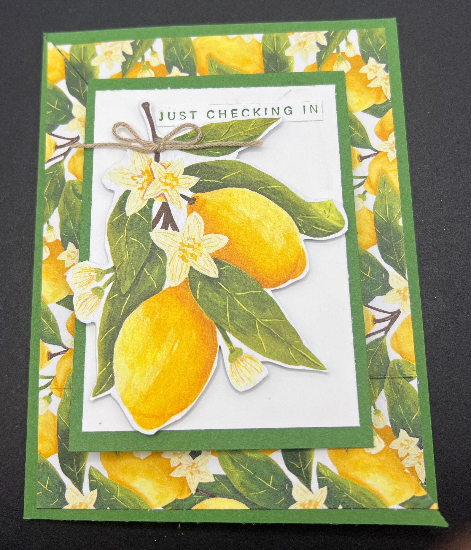 Lemon Fun Fold Card With the Greeting "just Checking In". Blank Mini ...