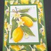 Lemon Fun Fold Card With the Greeting just Checking In. Blank Mini Card ...