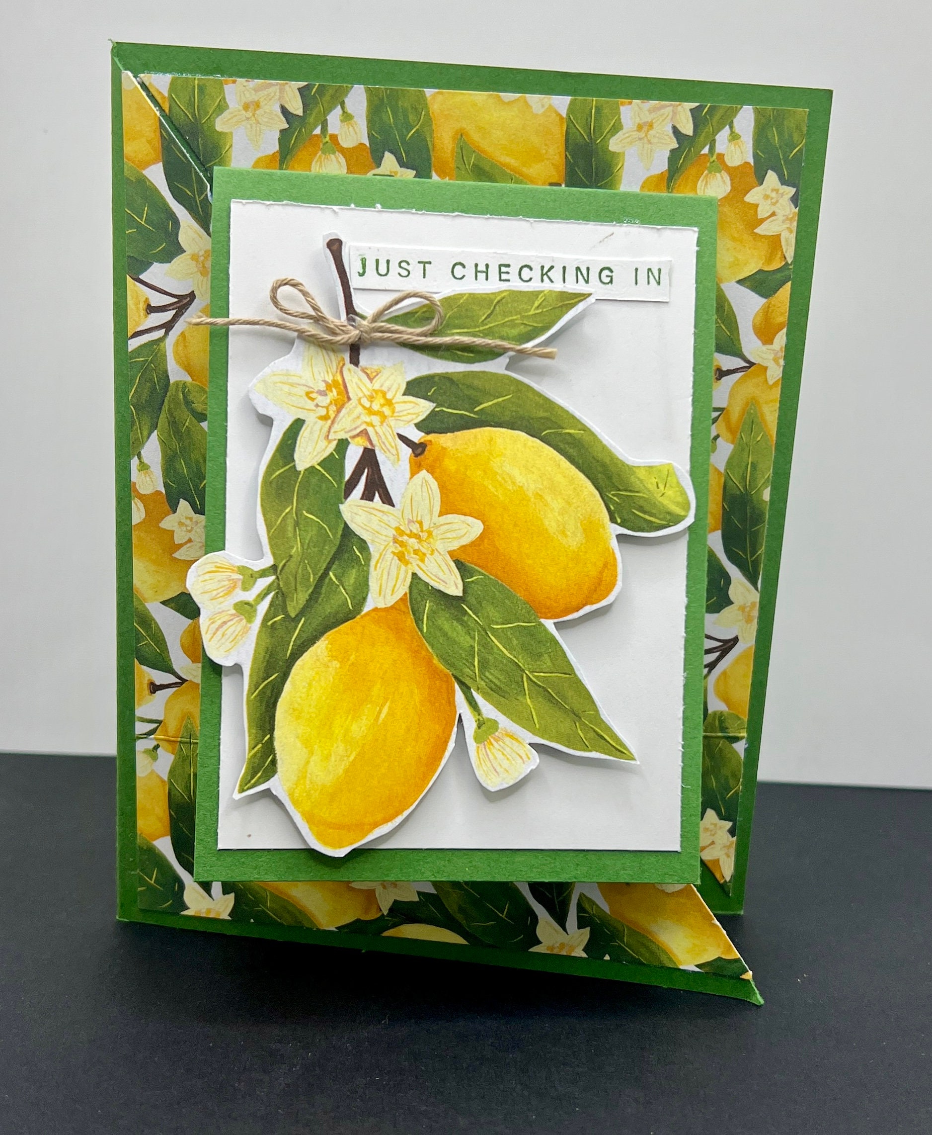 Lemon Fun Fold Card With the Greeting "just Checking In". Blank Mini ...