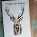 Happy Birthday STAG Greetings Card HIGHLAND STAG Nature Wildlife - Etsy