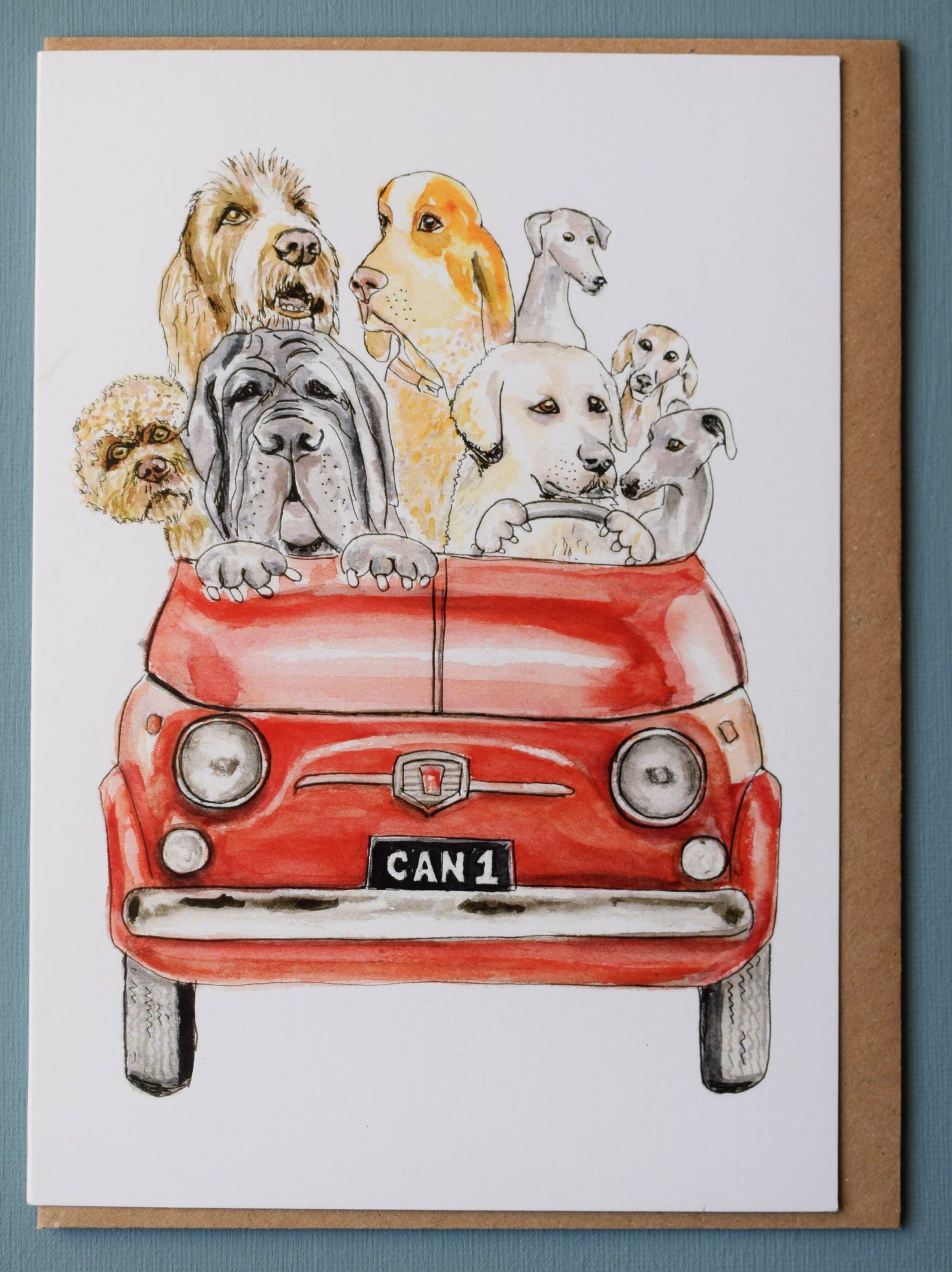 MOTORMUTTS FIAT 500 Dogs Lagotto Romagnolo ,spinone ,italian Greyhound ...