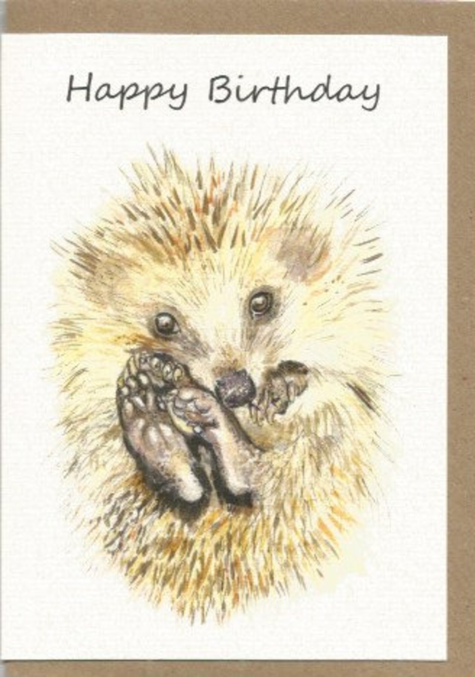 Happy Birthday HEDGEHOG Greetings Card British Wildlife Nature - Etsy UK