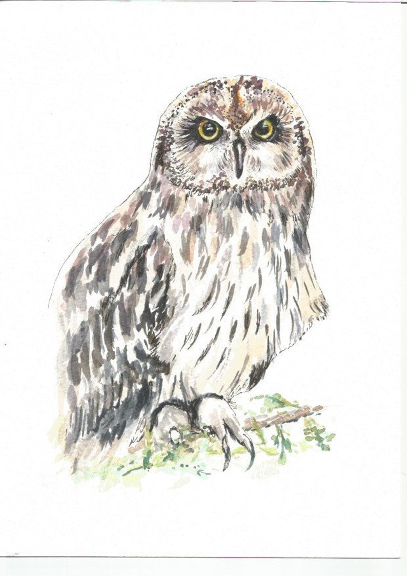 Happy Birthday OWL Greetings Card TAWNY OWL Nature Wildlife - Etsy