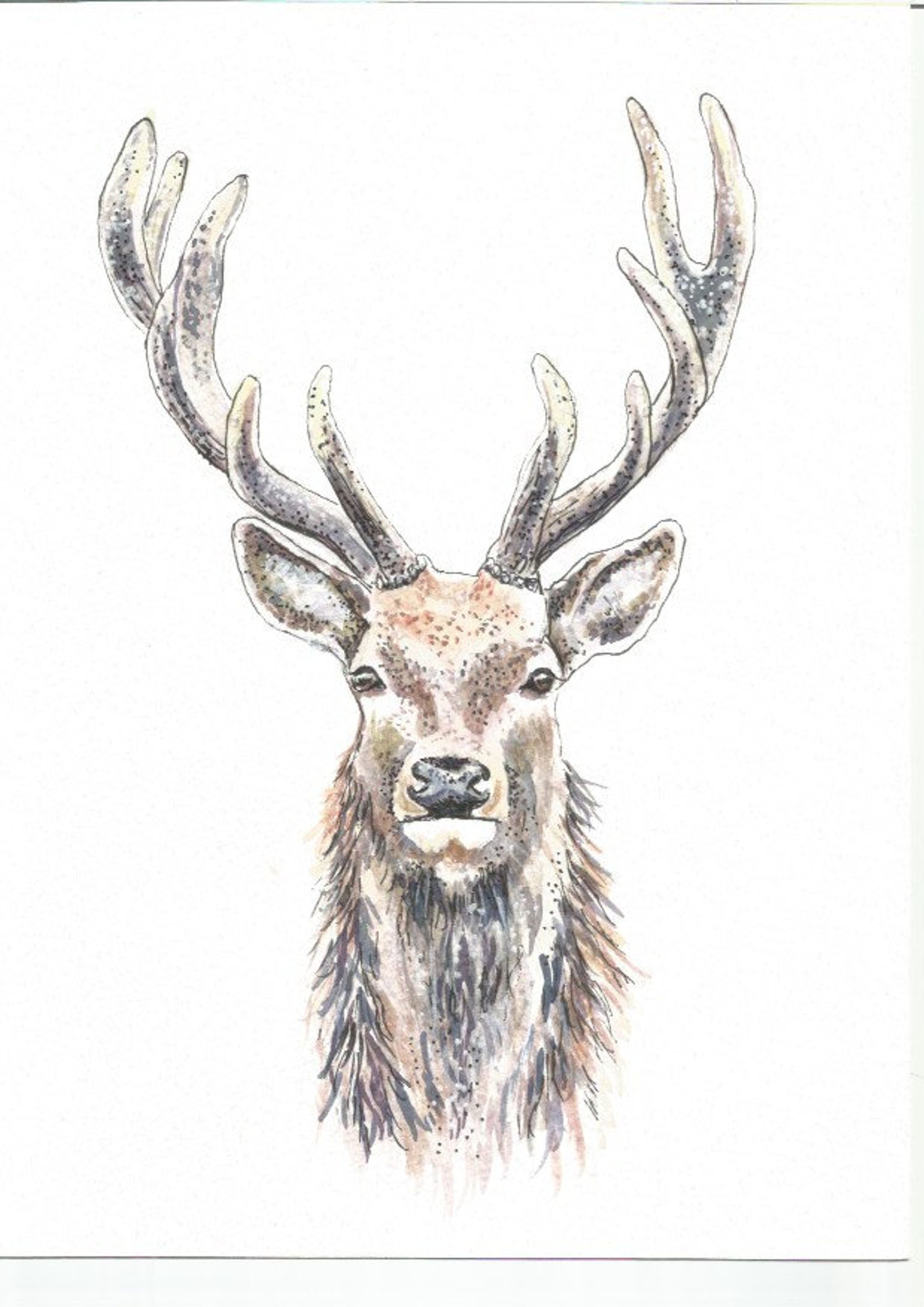 Happy Birthday STAG Greetings Card HIGHLAND STAG Nature - Etsy