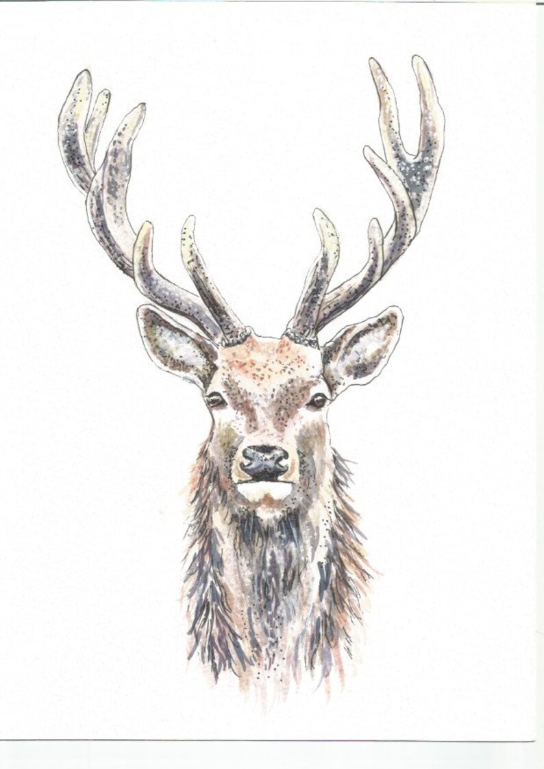 Happy Birthday STAG Greetings Card HIGHLAND STAG Nature - Etsy