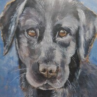 GOOD LUCK CARD Dog Greetings Card-animal Card-funny-good Luck Lucky ...