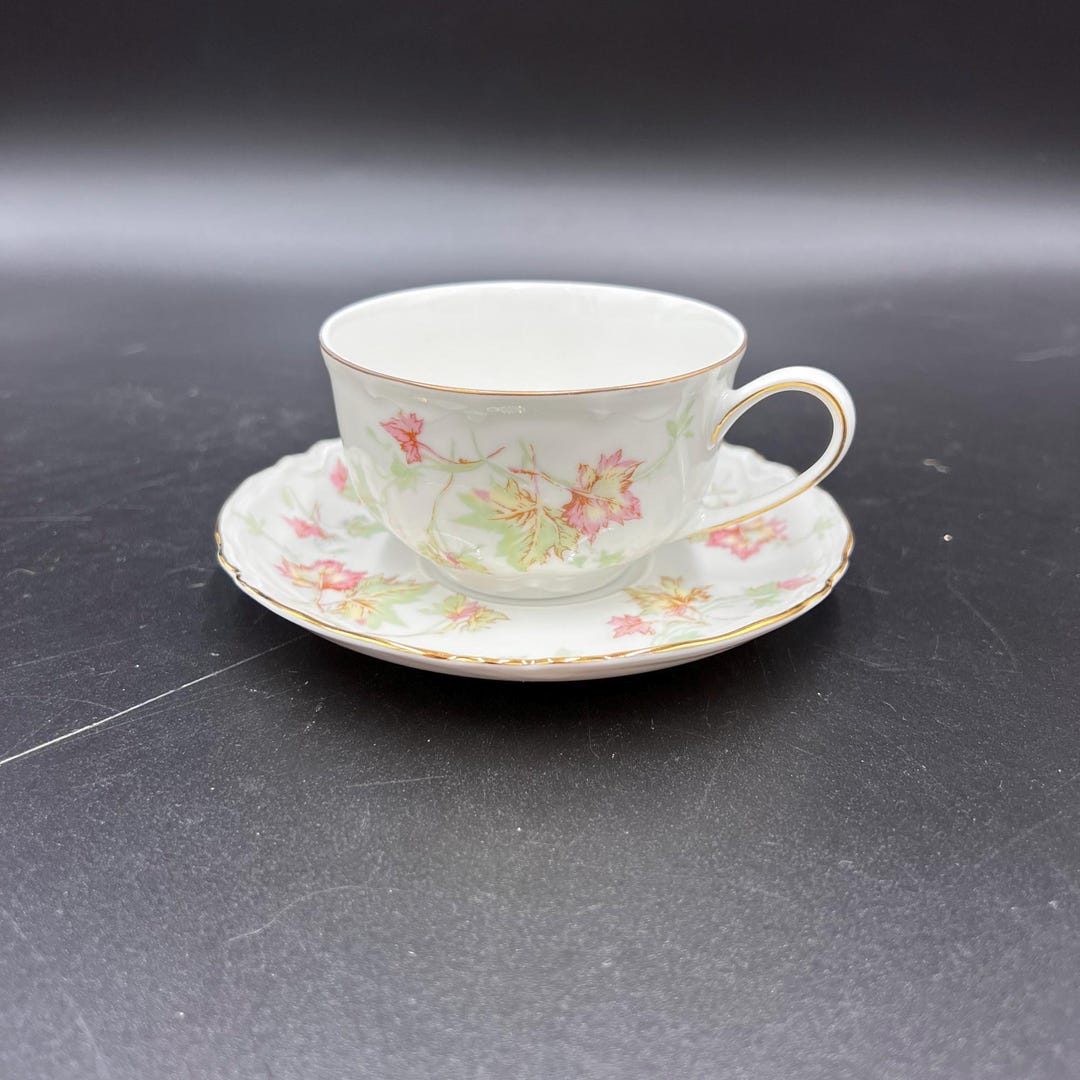 Hutschenreuther Selb Maple Leaf Tea Cup and Saucer - Etsy