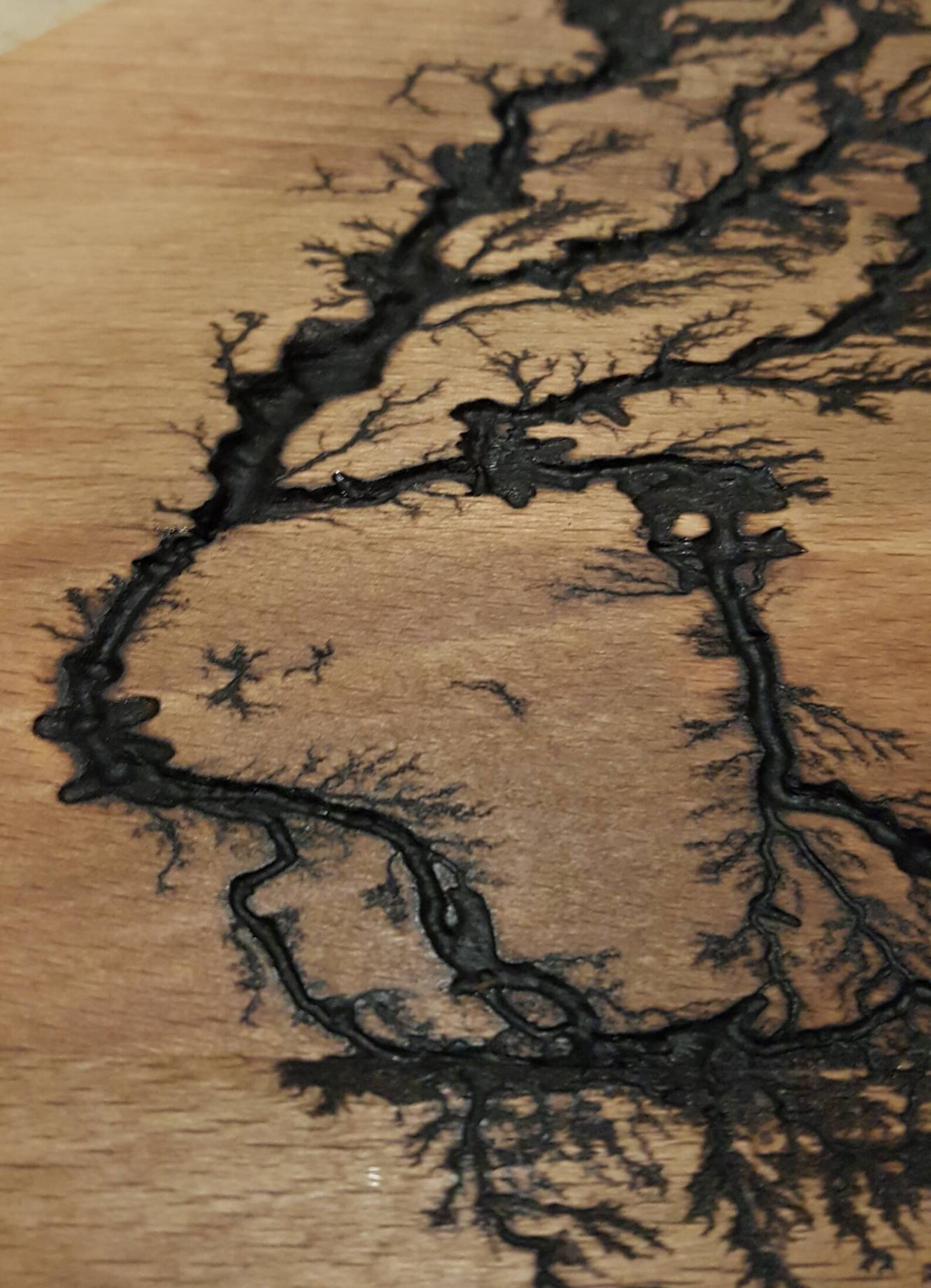 Oak Wall Hanging Fractal Design - Etsy Australia