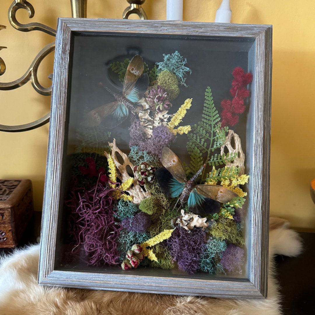Lanternfly Shadow Box - Etsy