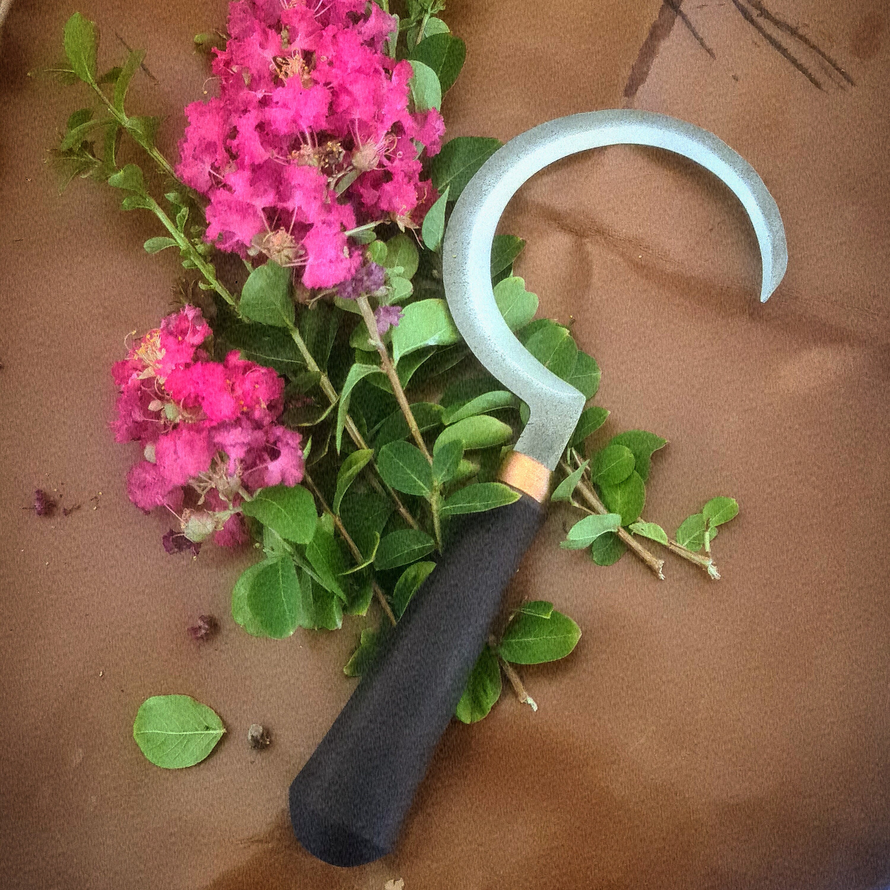 Hand Forged Boline Sickle - Etsy