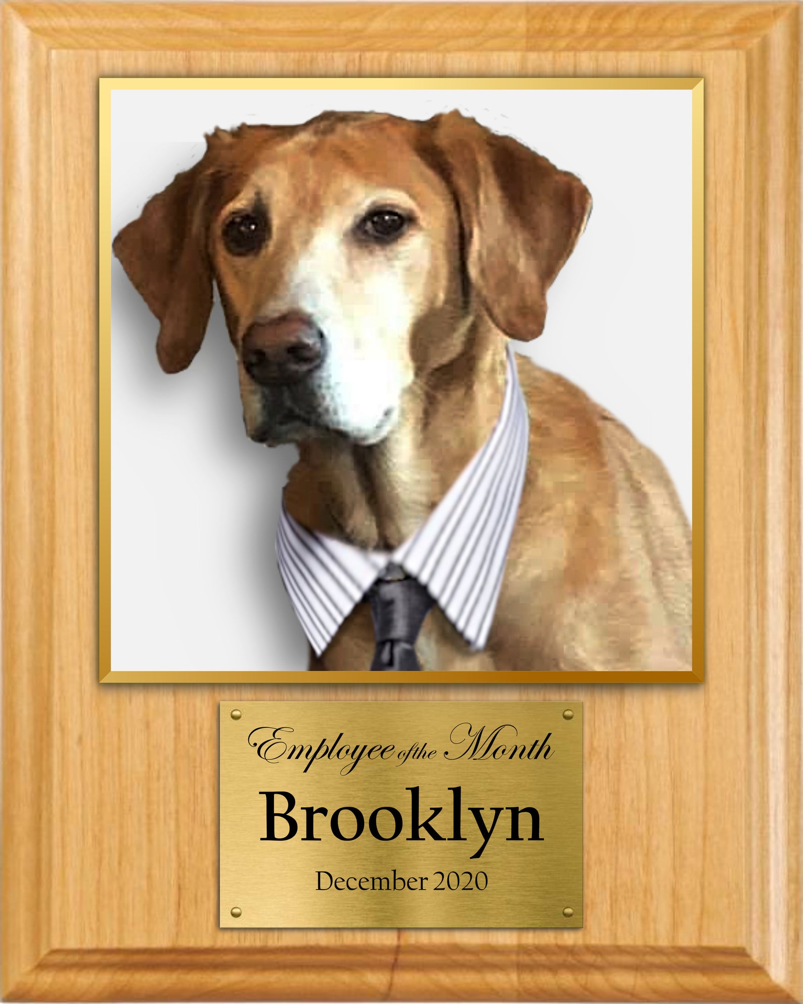 Funny Pet Employee of the Month Portrait Pet Photoshopped | Etsy