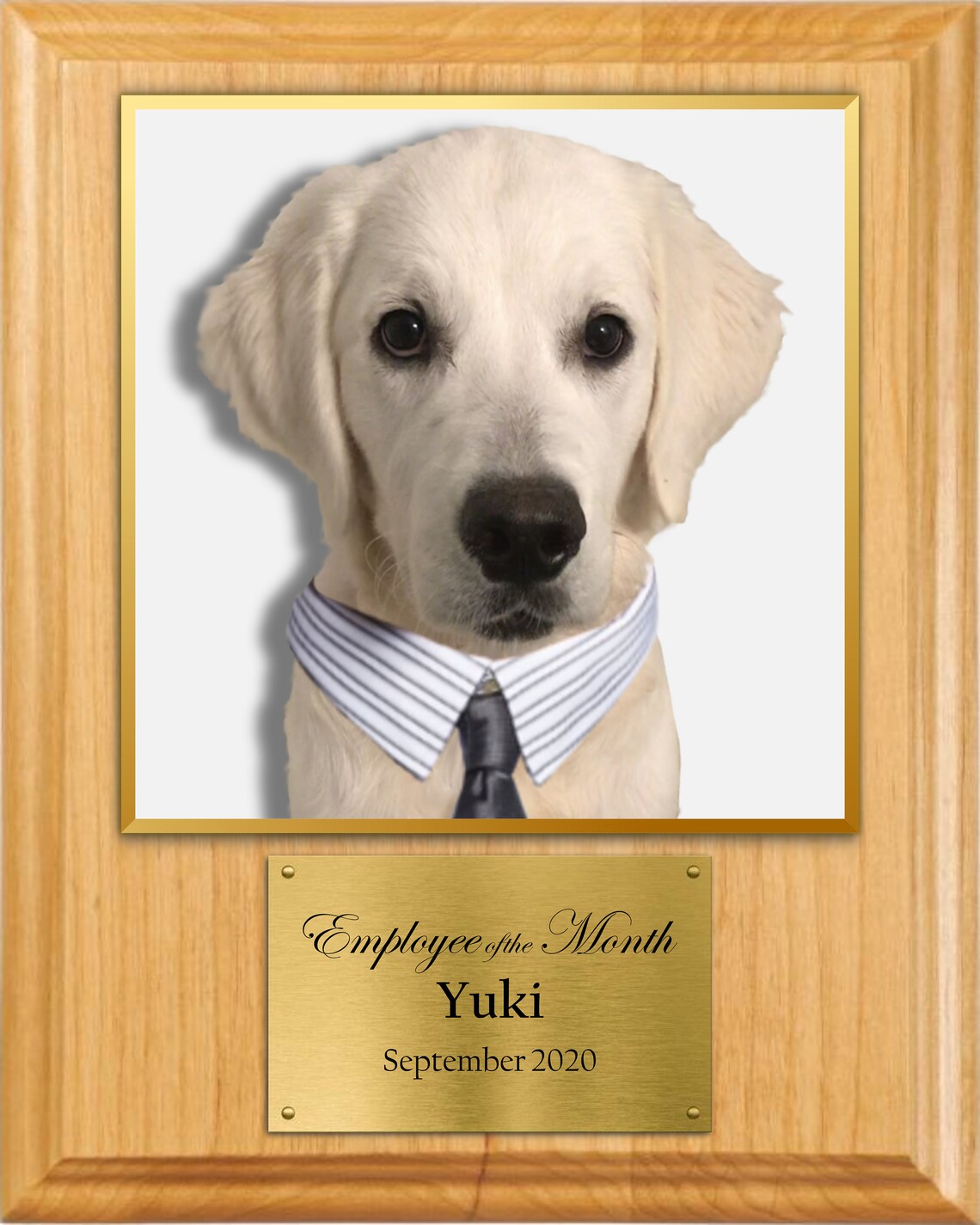 Funny Pet Employee of the Month Portrait Pet Photoshopped | Etsy