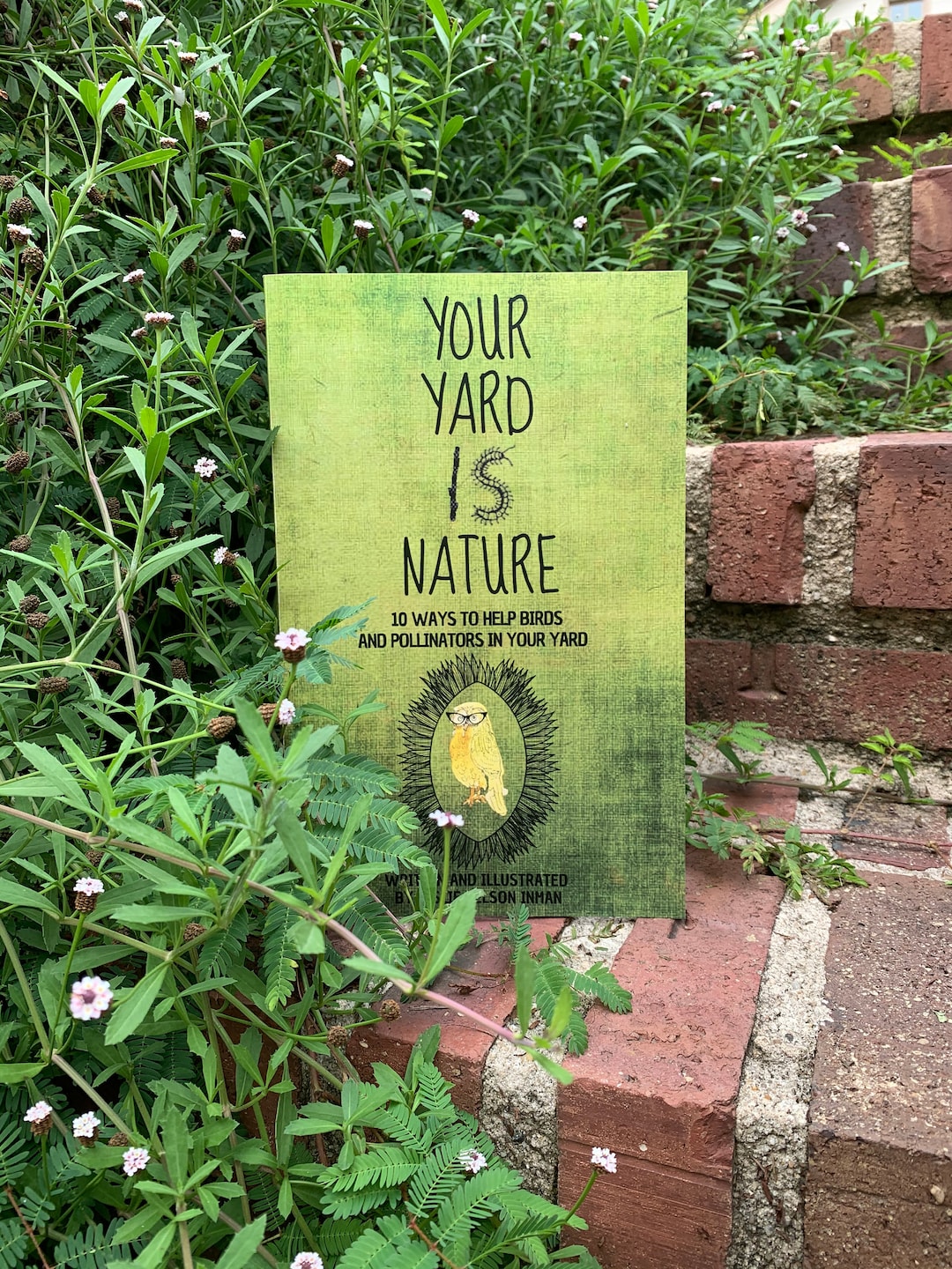Book 'your Yard is Nature' - Etsy