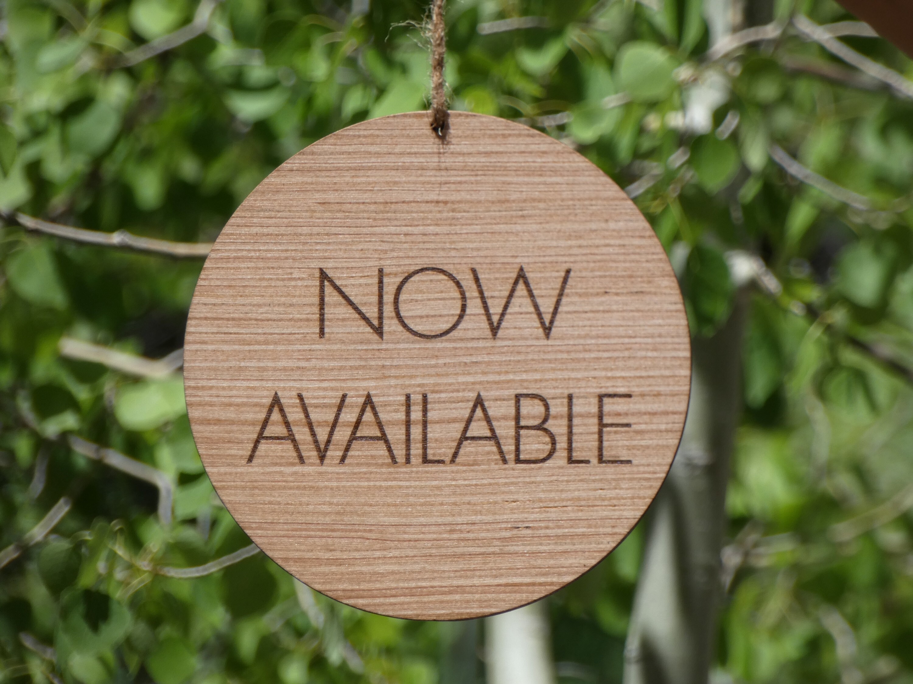 Do Not Disturb Sign / Now Available Sign / Business Decor / | Etsy Canada