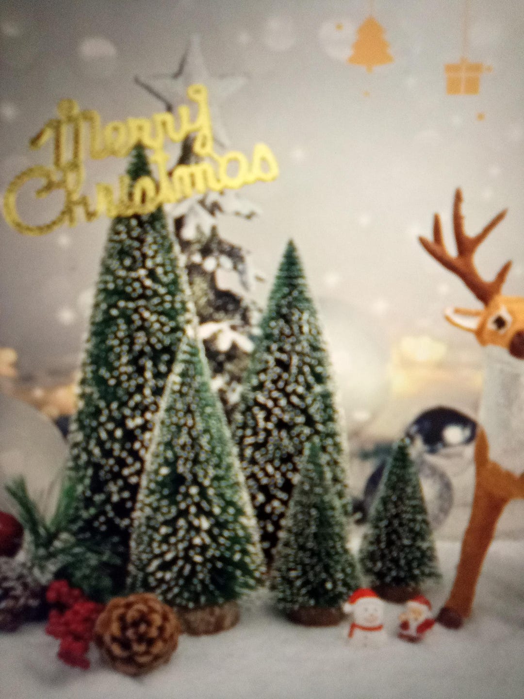 Cute,small Christmas Trees,mini Christmas Trees, Small Pine Trees With ...