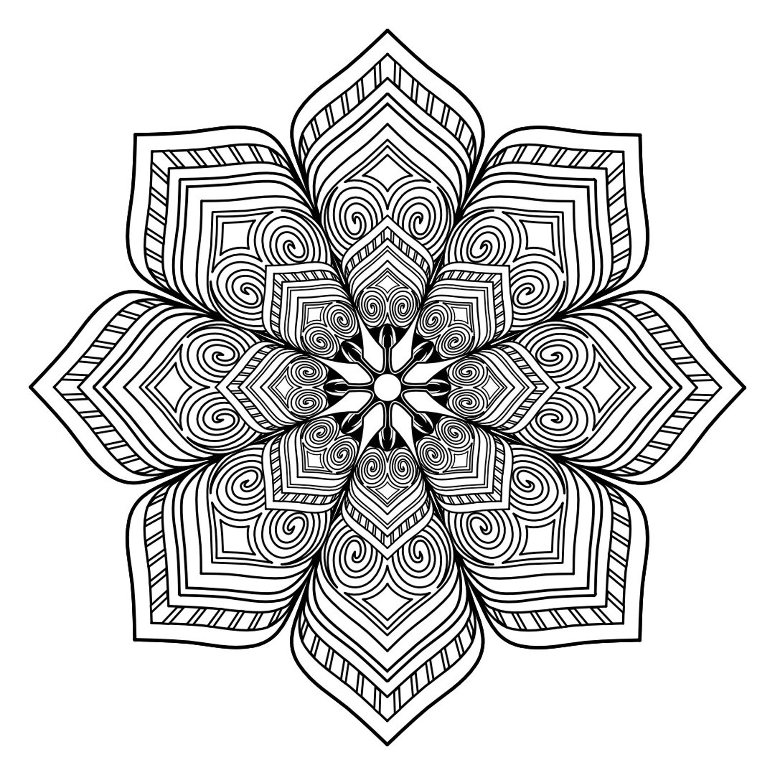 Money Mandala - Adult Coloring Pages - Instant Download - Printables ...