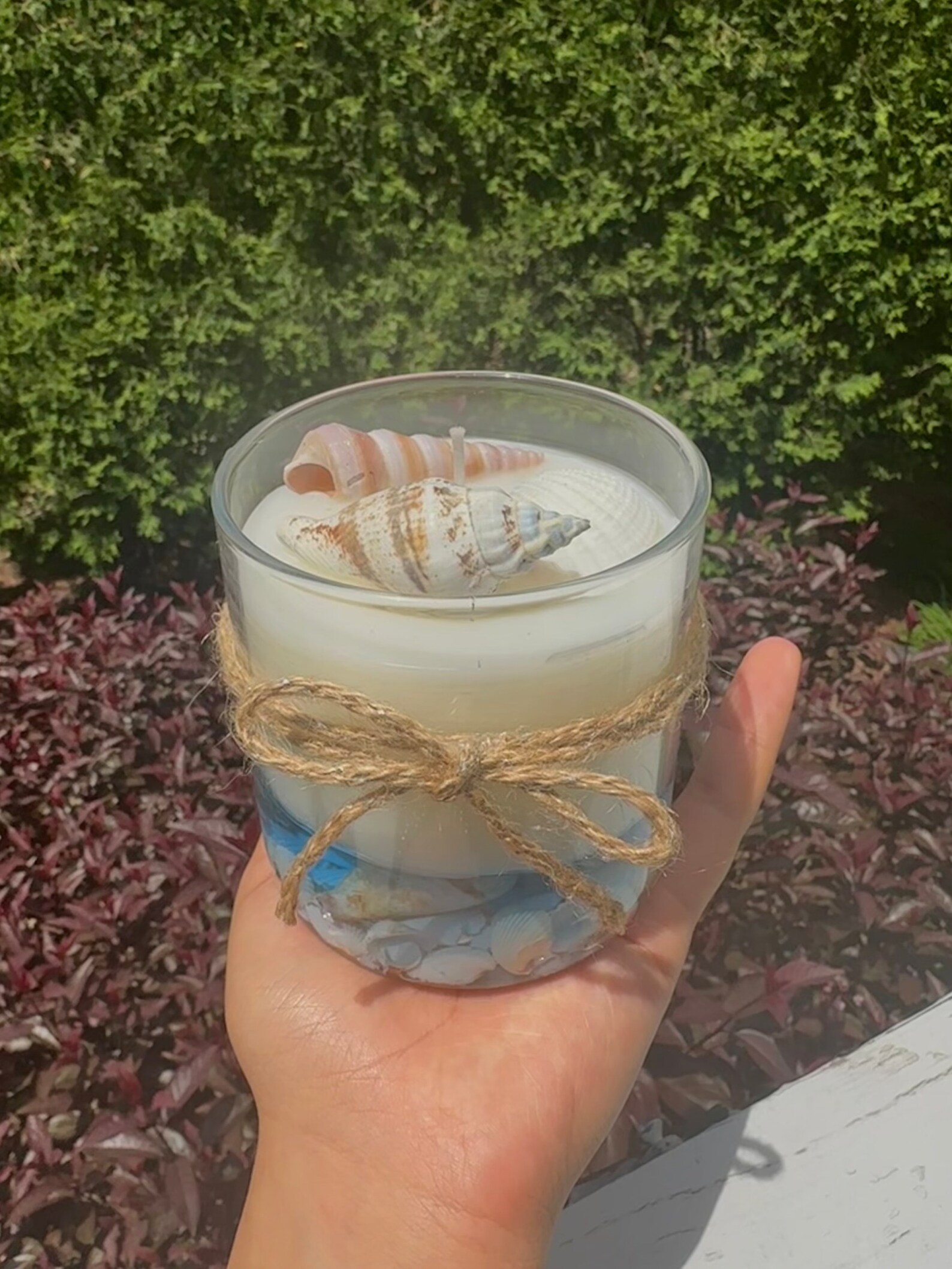 Beach Seashell Gel Candle - Etsy