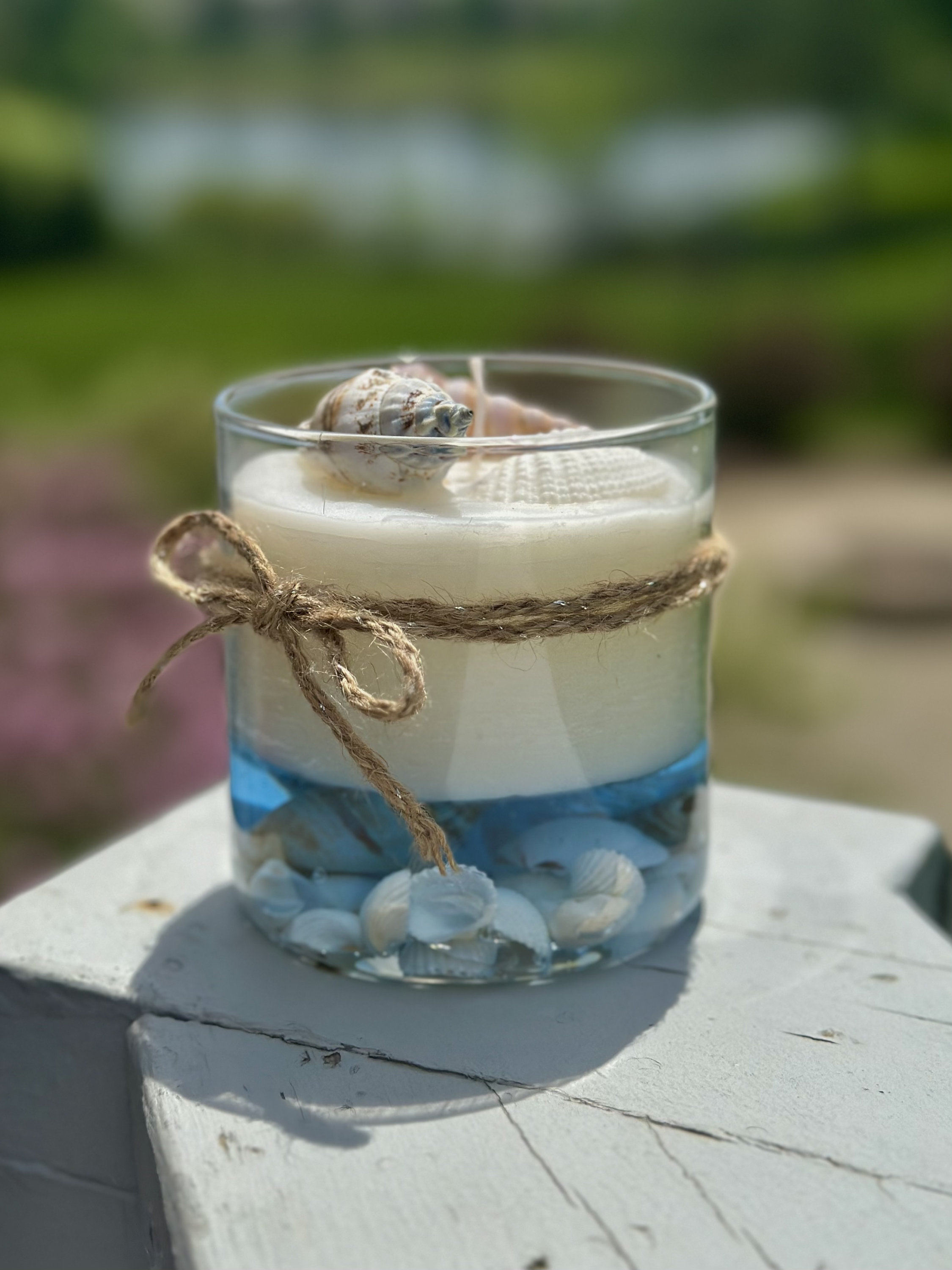 Beach Seashell Gel Candle - Etsy