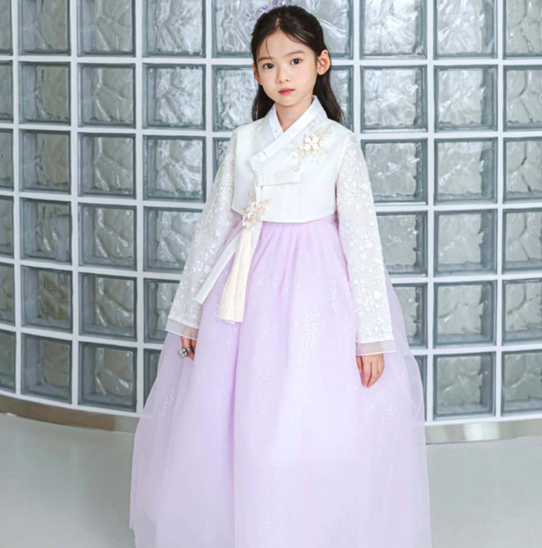 112y/o Saerin Purple Dress Hanbok, Girl Hanbok, Dress Modern Hanbok ...
