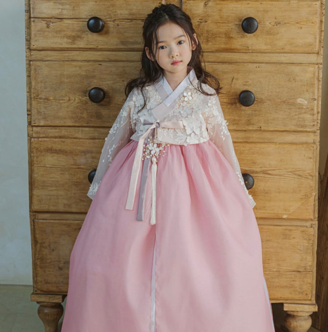 Pink 3D Dress Hanbok, 18y/o Girl Hanbok, Korean 1ST Birthday Party, Dol ...