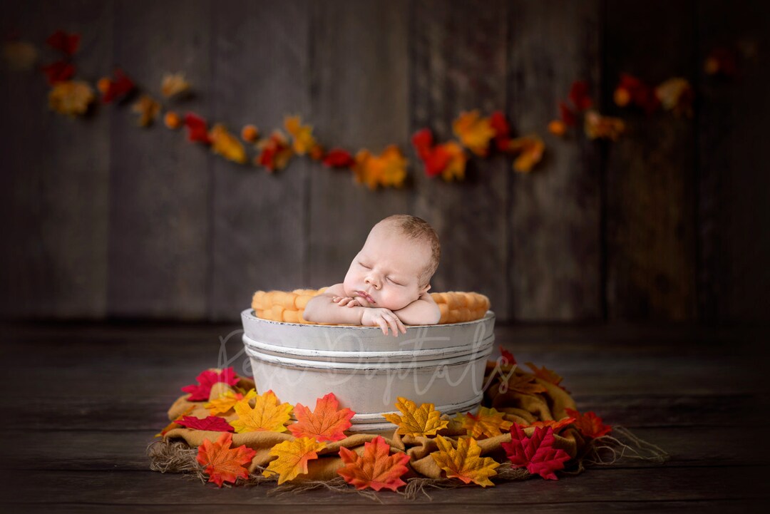 Colorful Fall Digital Newborn Backdrop, With Wooden Bucket and Maple ...