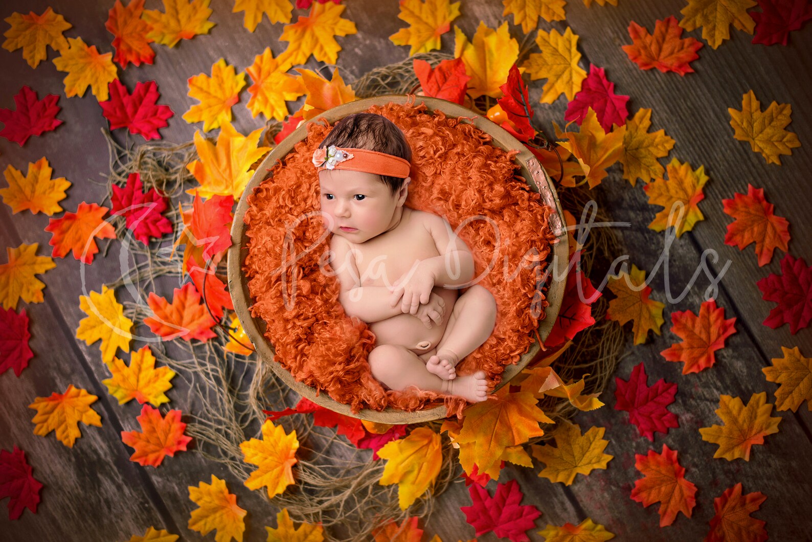 Autumn Newborn Digital Backdrop With Brown Wooden Bowl and Maple Leaves ...