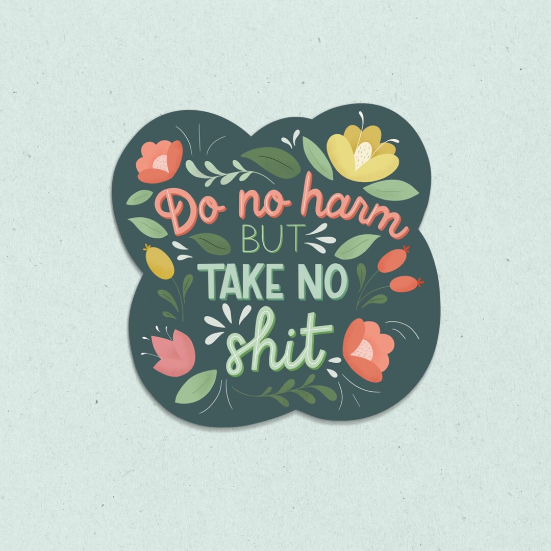 Do No Harm Take No Shit Vinyl Sticker, Mental Health Sticker, Laptop ...