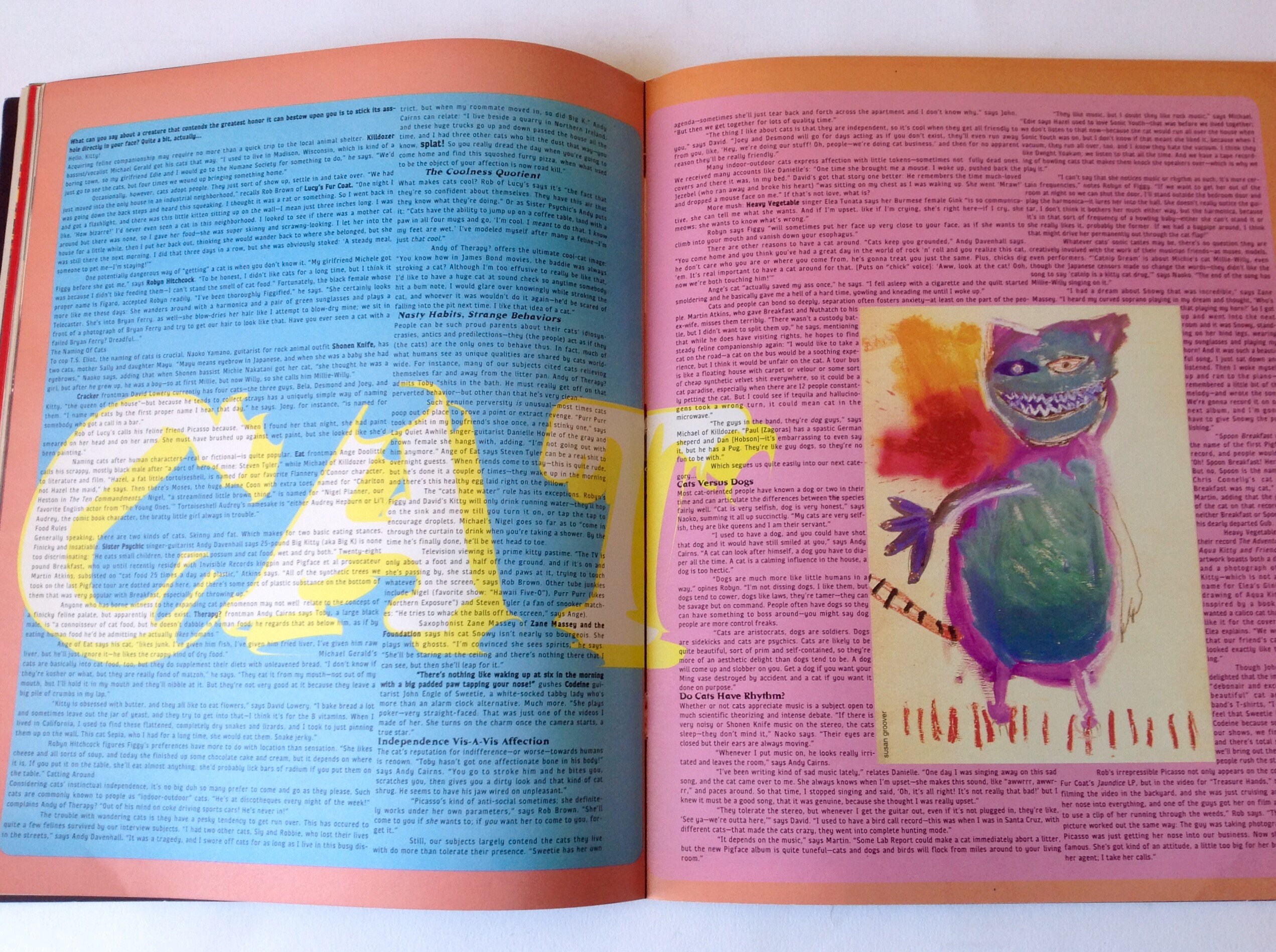 Raygun Magazine Issue 18 Lush, John Lydon, Pulp, Violent Femmes ...