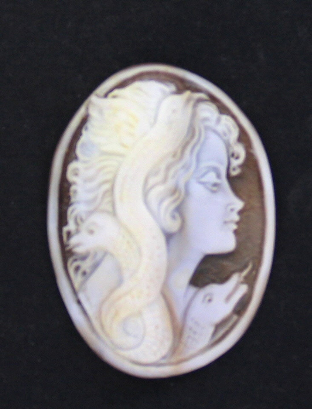 Medusa Shell Cameo Sold Loose Hand Carved Cameo Carved in Italy Cameo ...