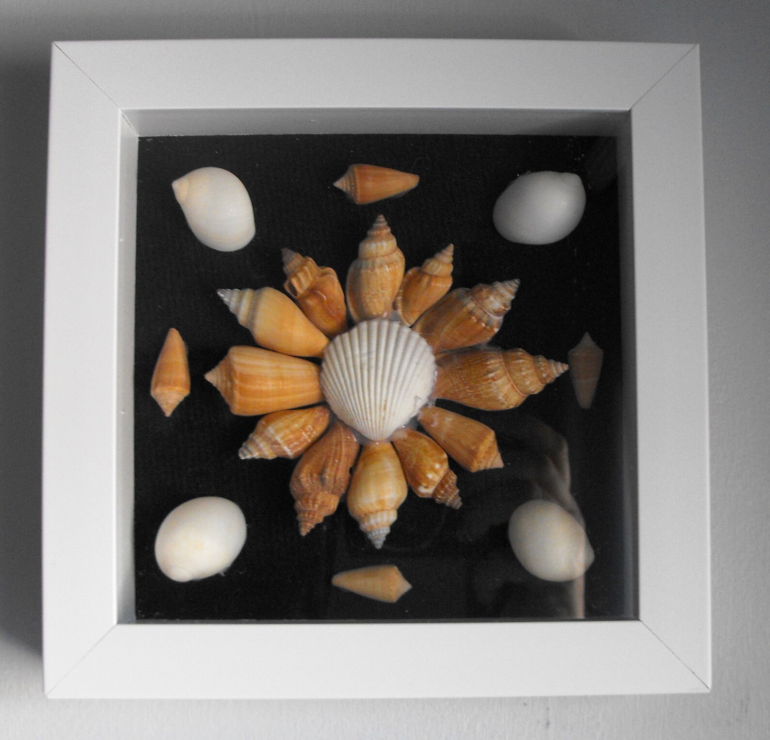 Individual 7 Inch Square Seashell Shadowbox White Finish 4 - Etsy