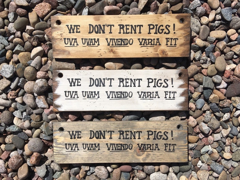 Surprising We Don T Rent Pigs Pictures
