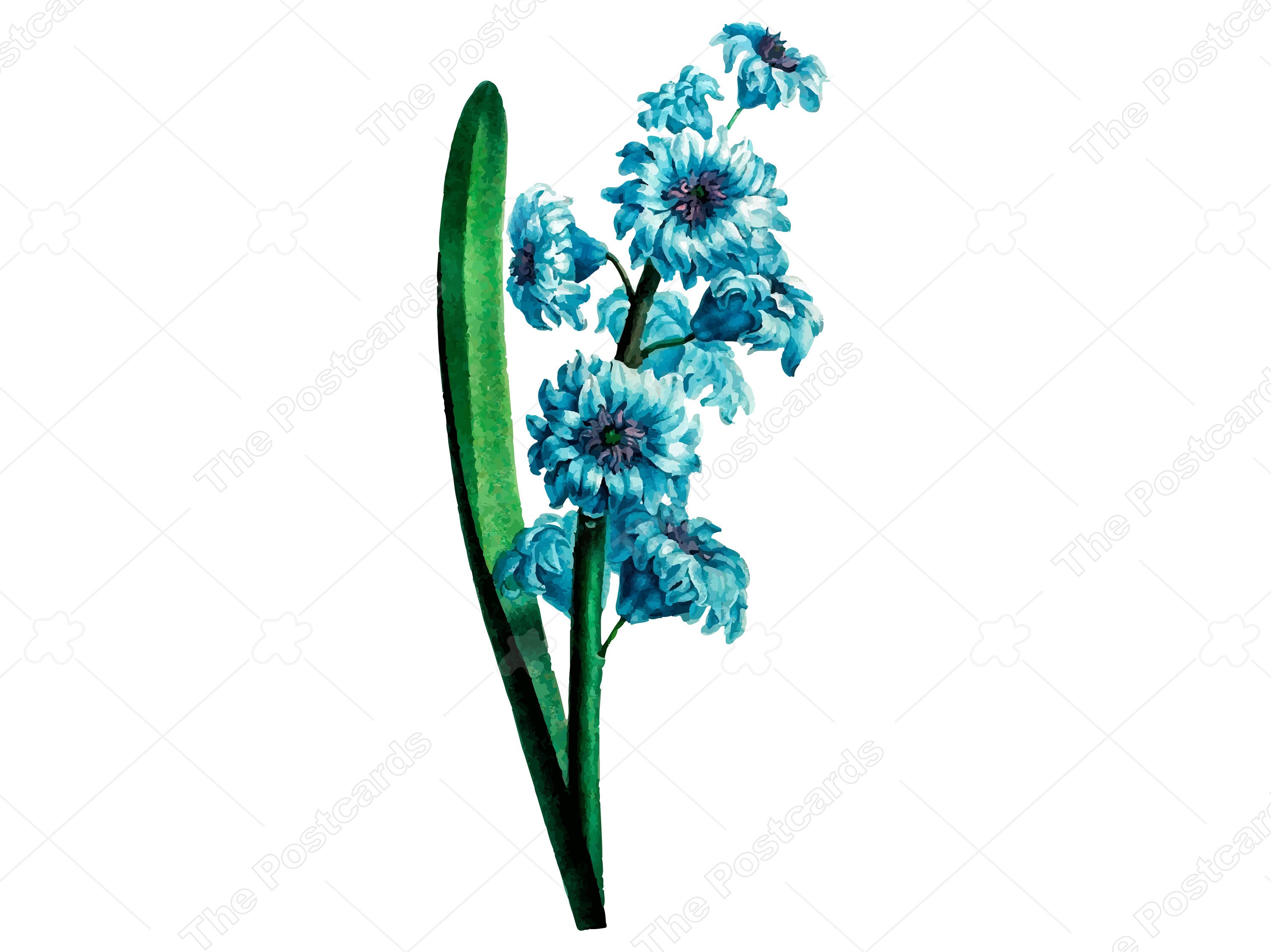 Flower Clip Art Set and Floral Design Elements Digital - Etsy