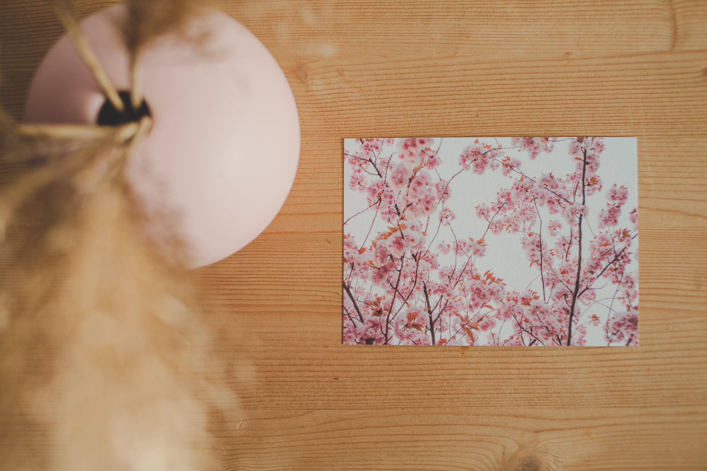 Set (B) of 3 Blossom Postcards - Etsy