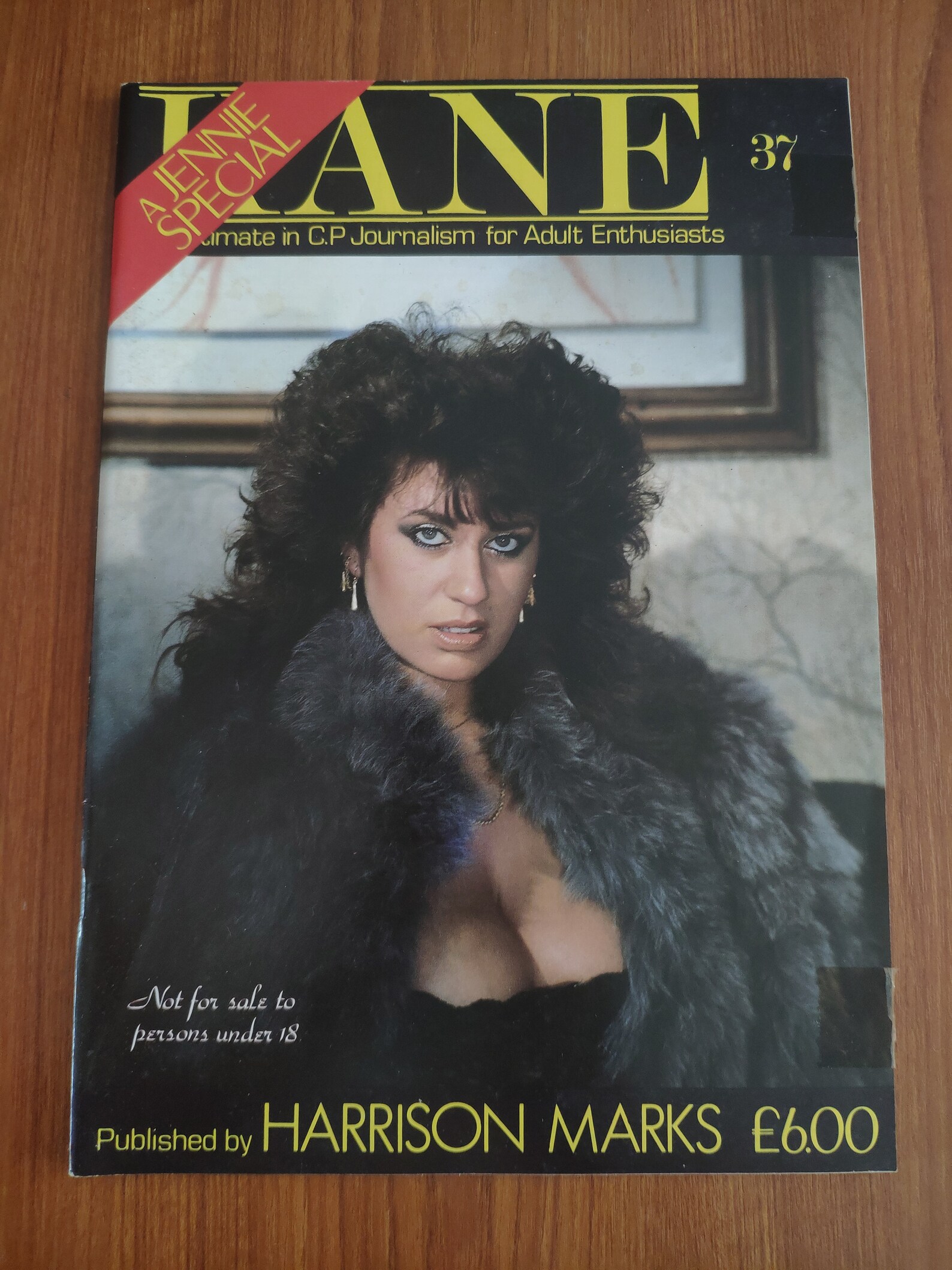 Vintage Kane Magazine Issue No.37 Jennie Special Adult | Etsy