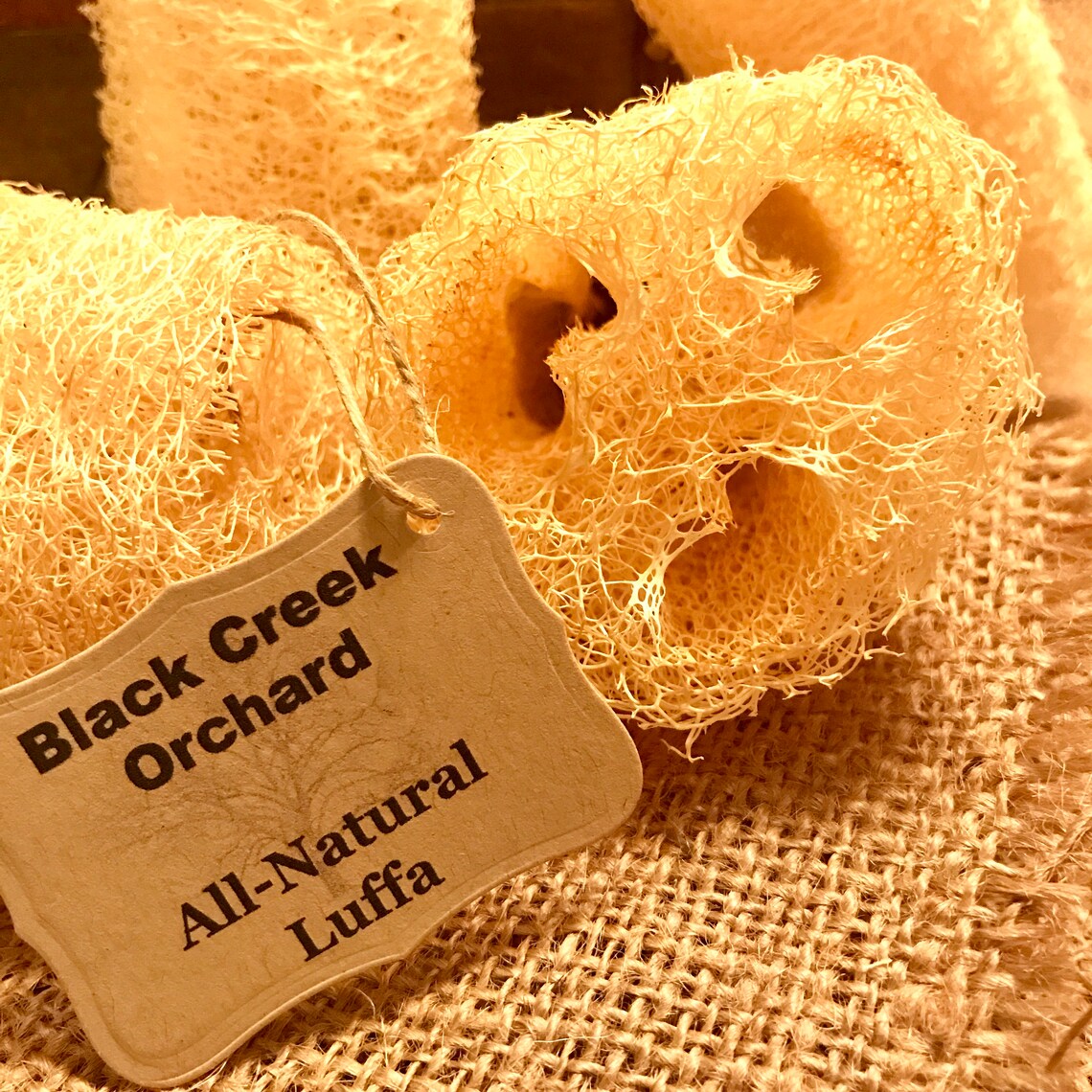Luffah Luffa Loofa Natural Sponge Exfoliant Homegrown - Etsy